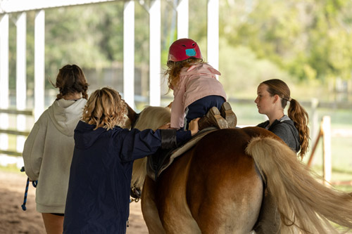 Home - HorsePlay Therapy